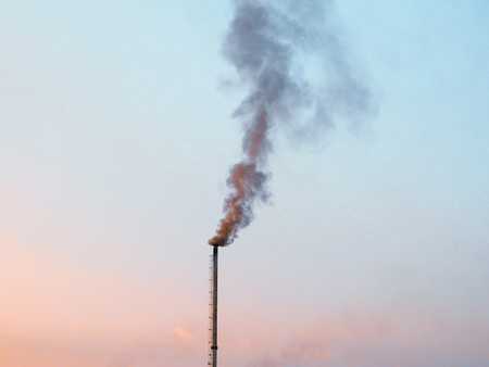 Causes of Inflammation: Environmental Toxins